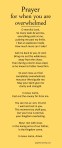 Prayer for when you are overwhelmed | Prayer For Anxiety